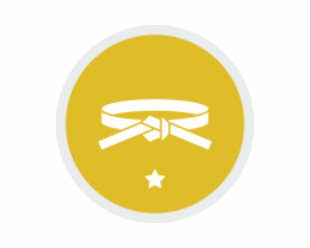 Lean Six Sigma Yellow Belt (certifiante) - CQHN