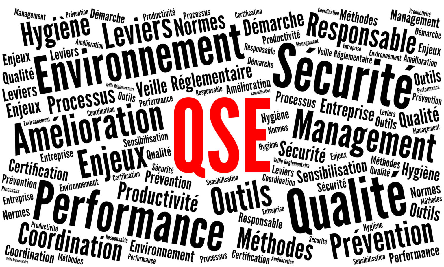 Construire son système intégré QSE - CQHN